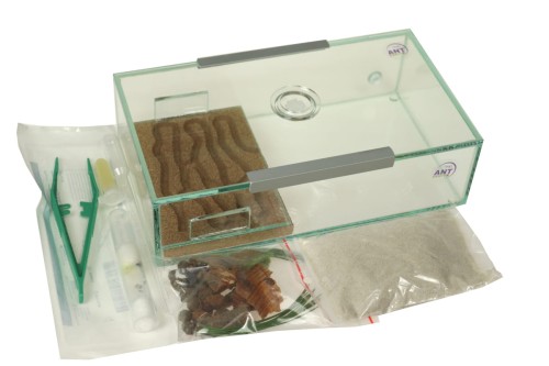 Formicarium Compact II Starter Kit –for Beginners - Antcenter